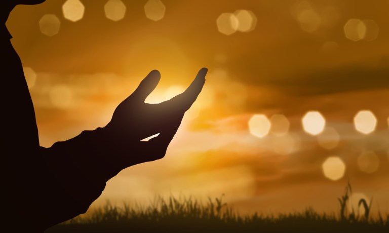 Homily for Saint Camillus Reunion Mass – Bishop Ray's Blog